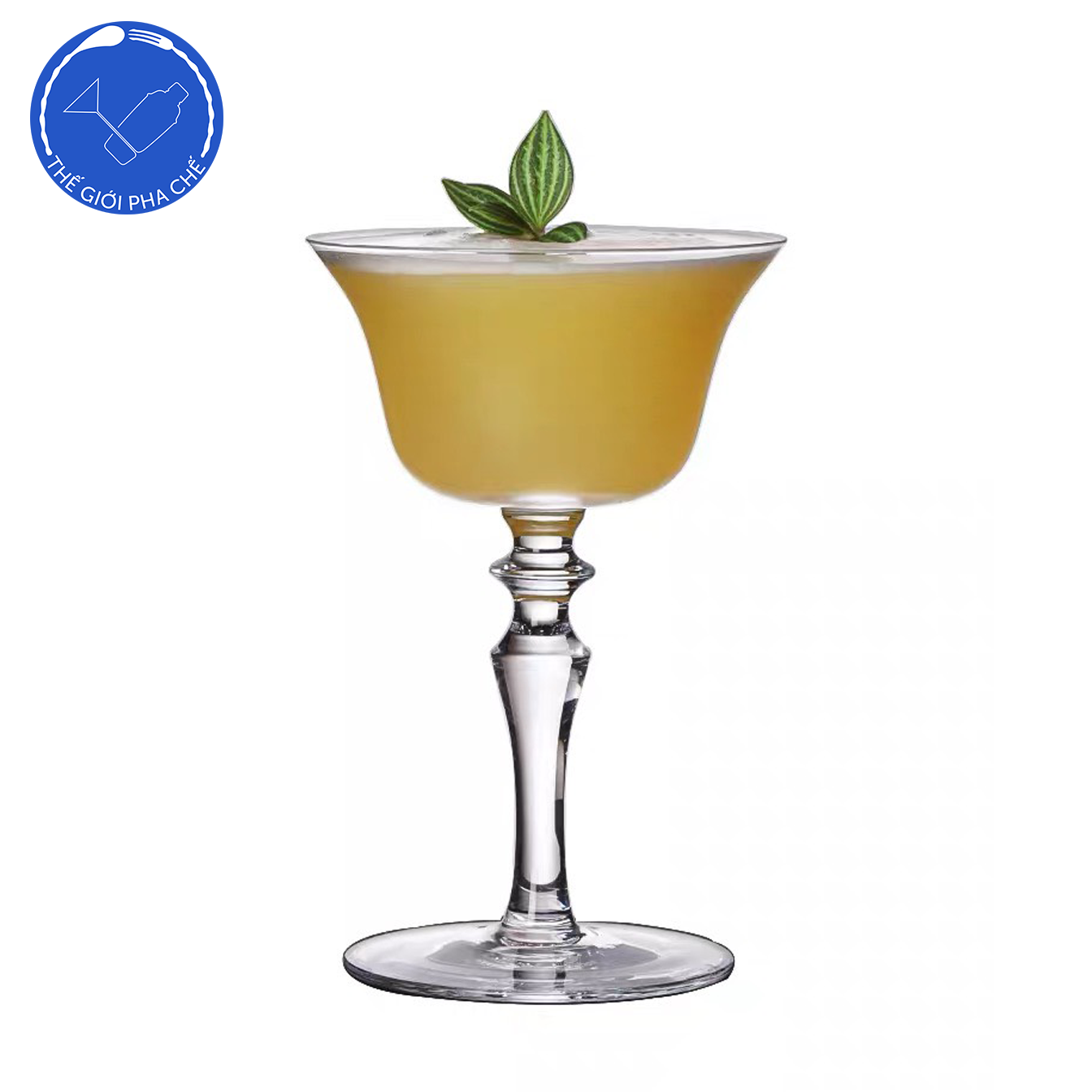 Ly Cocktail Italesse Coupe (Bộ 6c)120ml - H14008 | Thế giới pha chế - Nhà cung cấp dụng cụ - máy ...